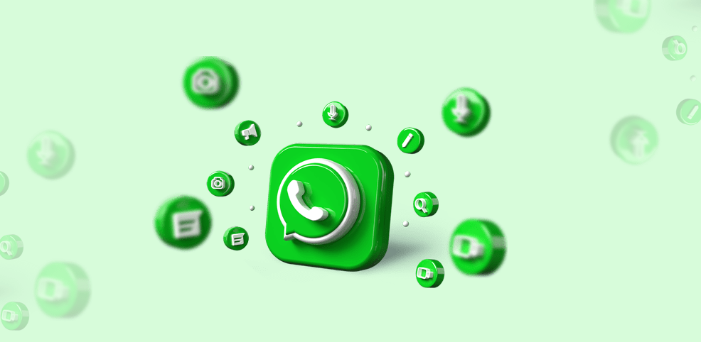 WhatsApp Business Campaigns: Elevate Your Brand Impact | Divsly